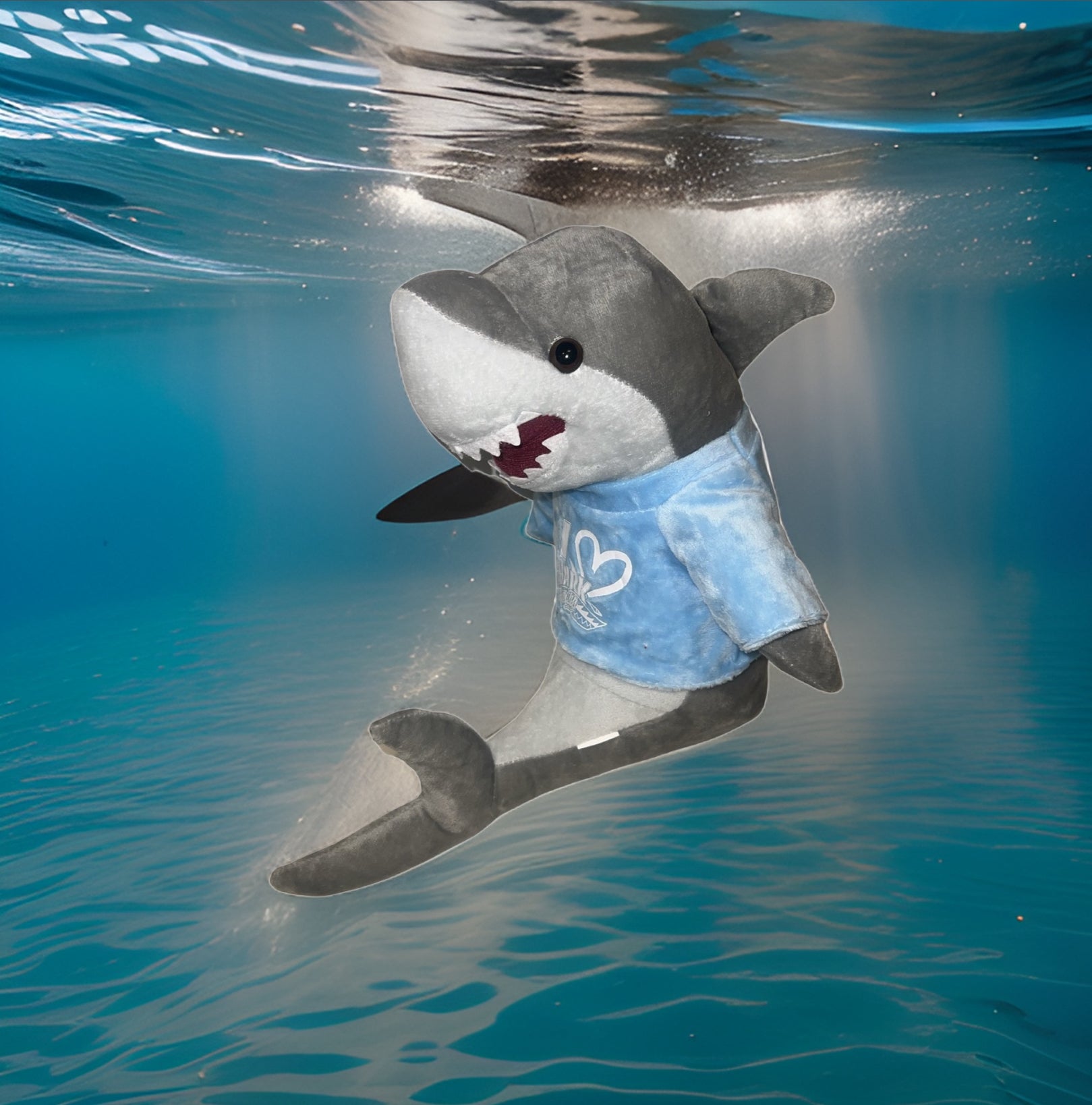 Miscellaneous | Shark Racing