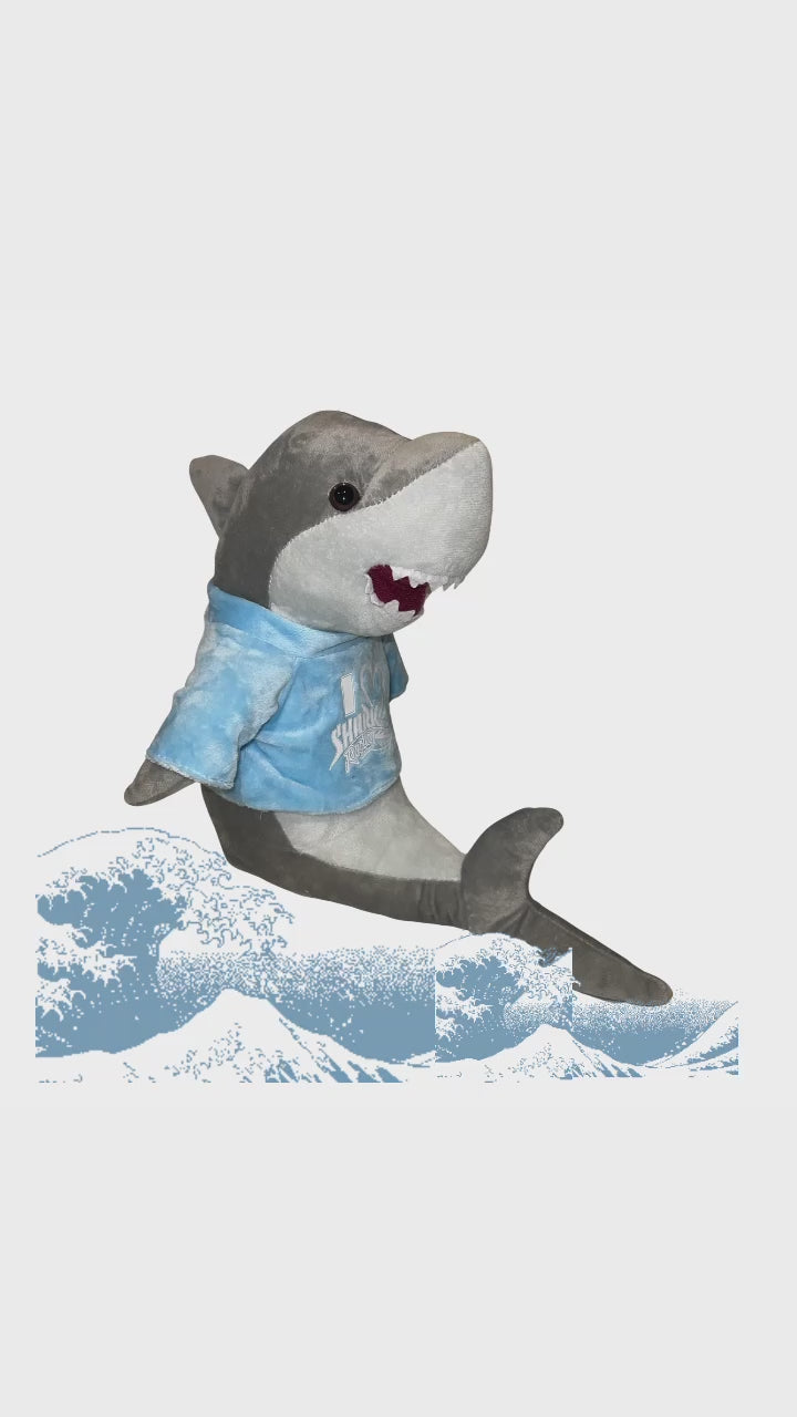 Miscellaneous | Shark Racing